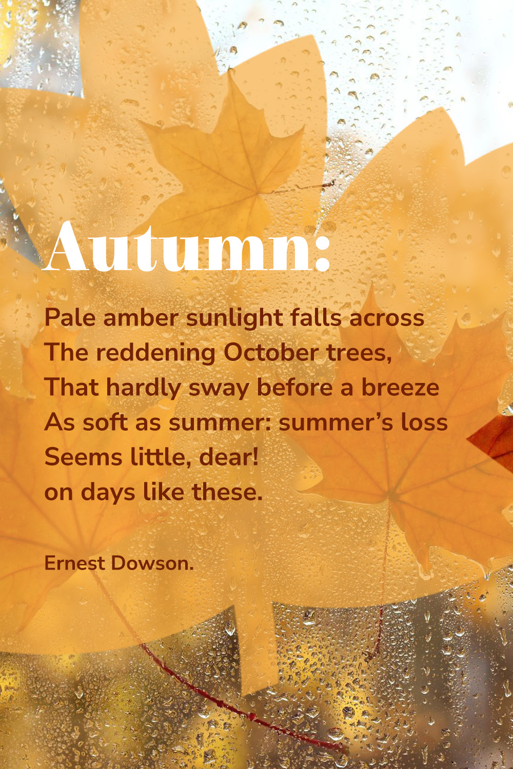 Maintain Your Mental Health In Autumn - MoreThanJellyTots