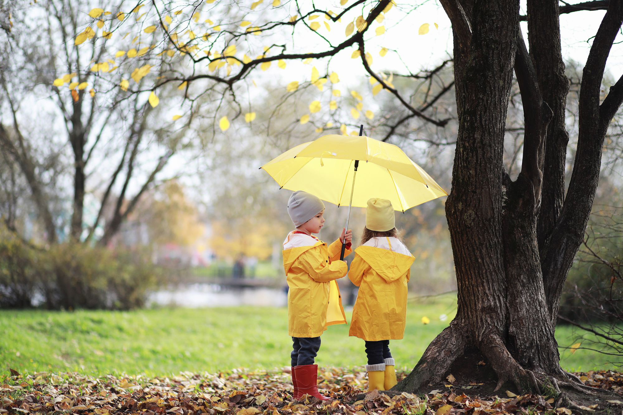 How To Get The Best Photos Of Your Kids This Autumn: Practical ...
